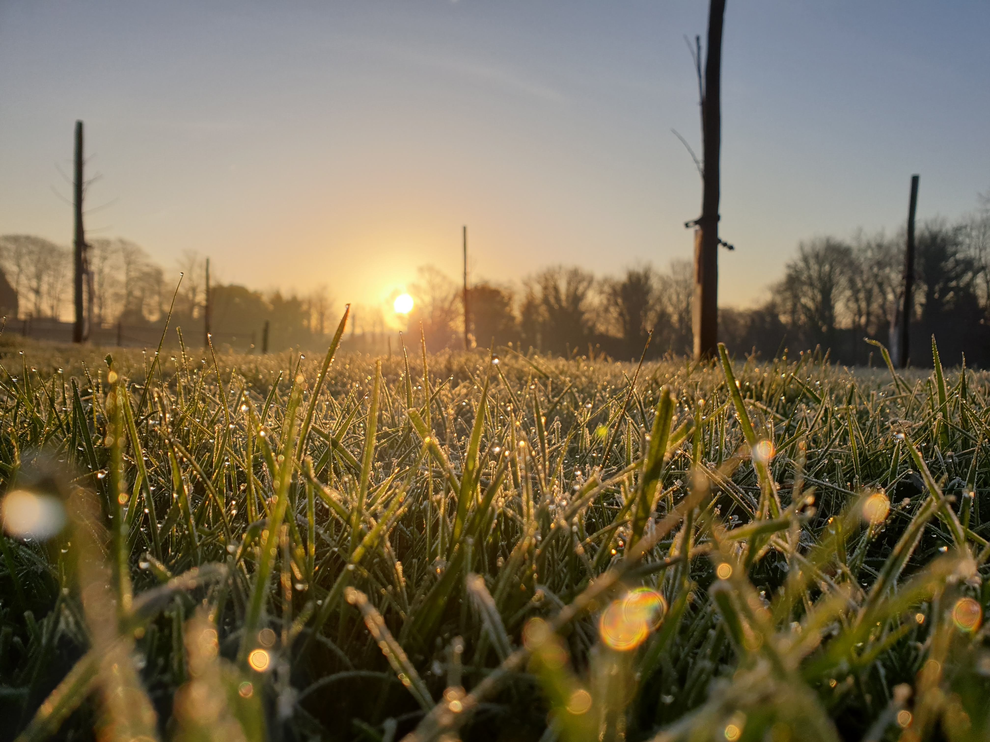 Secret Passage Supper Club – Welcome to our website & blog, we're a ...